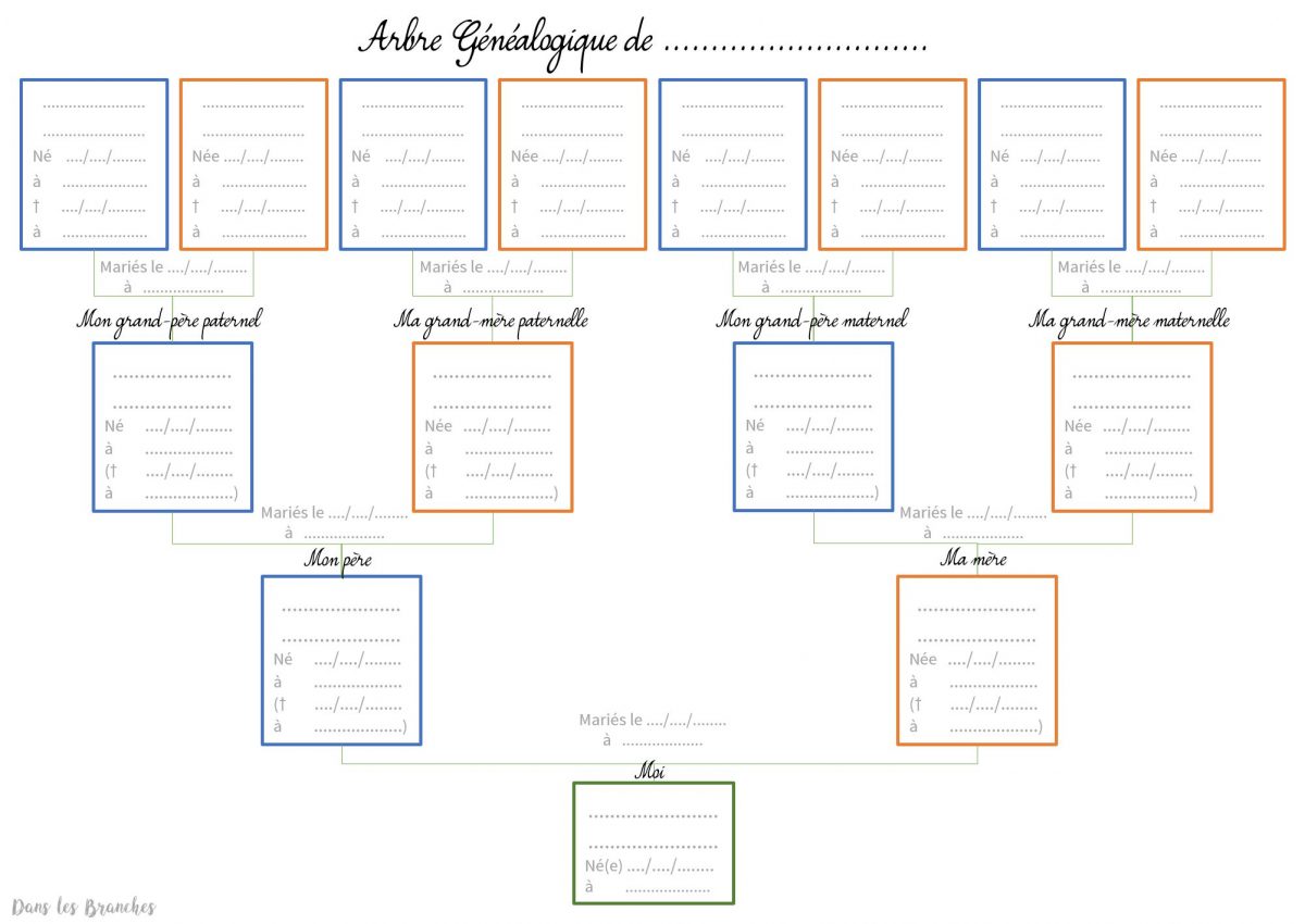 Modèle d'Arbre Généalogique pour débuter • Dans les Branches Modèle d'Arbre Généalogique pour débuter • Dans les Branches
