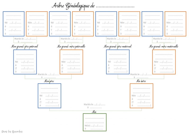 L’arbre généalogique et toi • Dans les Branches